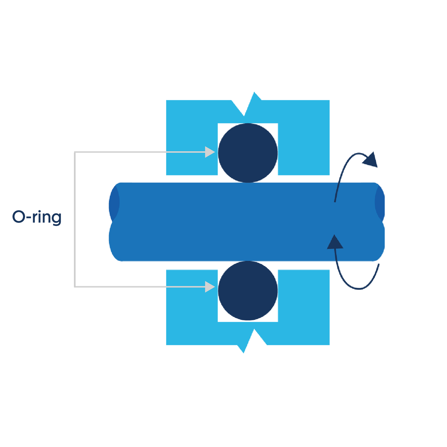 Guide du joint torique: Ce dont vous avez besoin pour faire